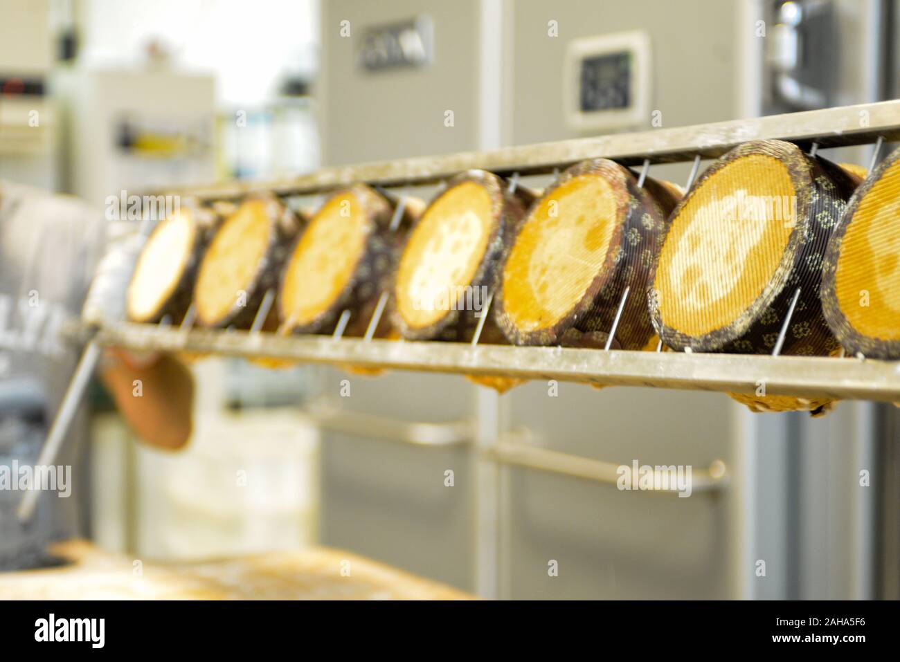 Italian pastry chef Baking Panettone sweet italian cake Stock Photo - Alamy