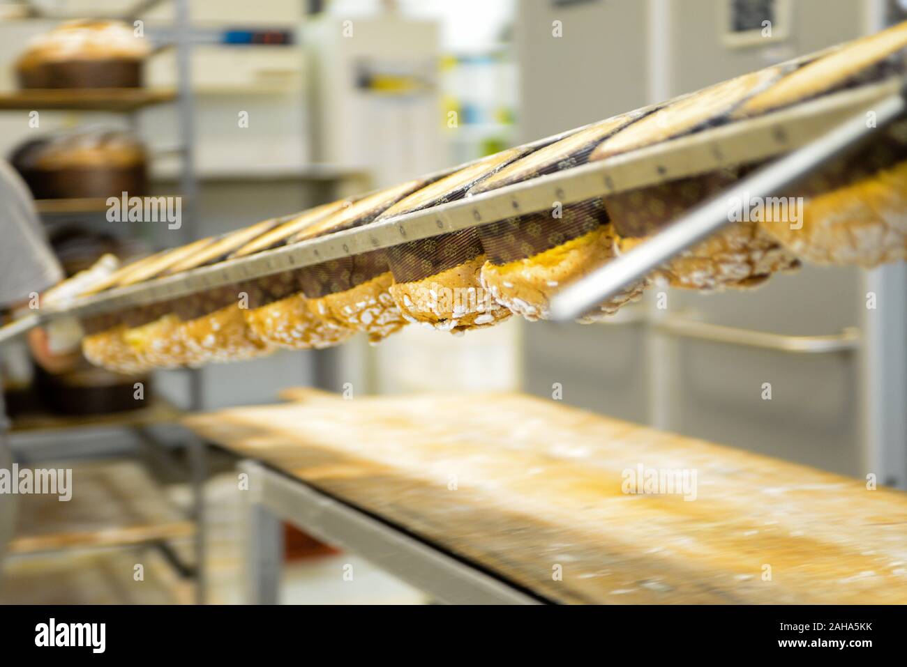 Italian pastry chef Baking Panettone sweet italian cake Stock Photo - Alamy