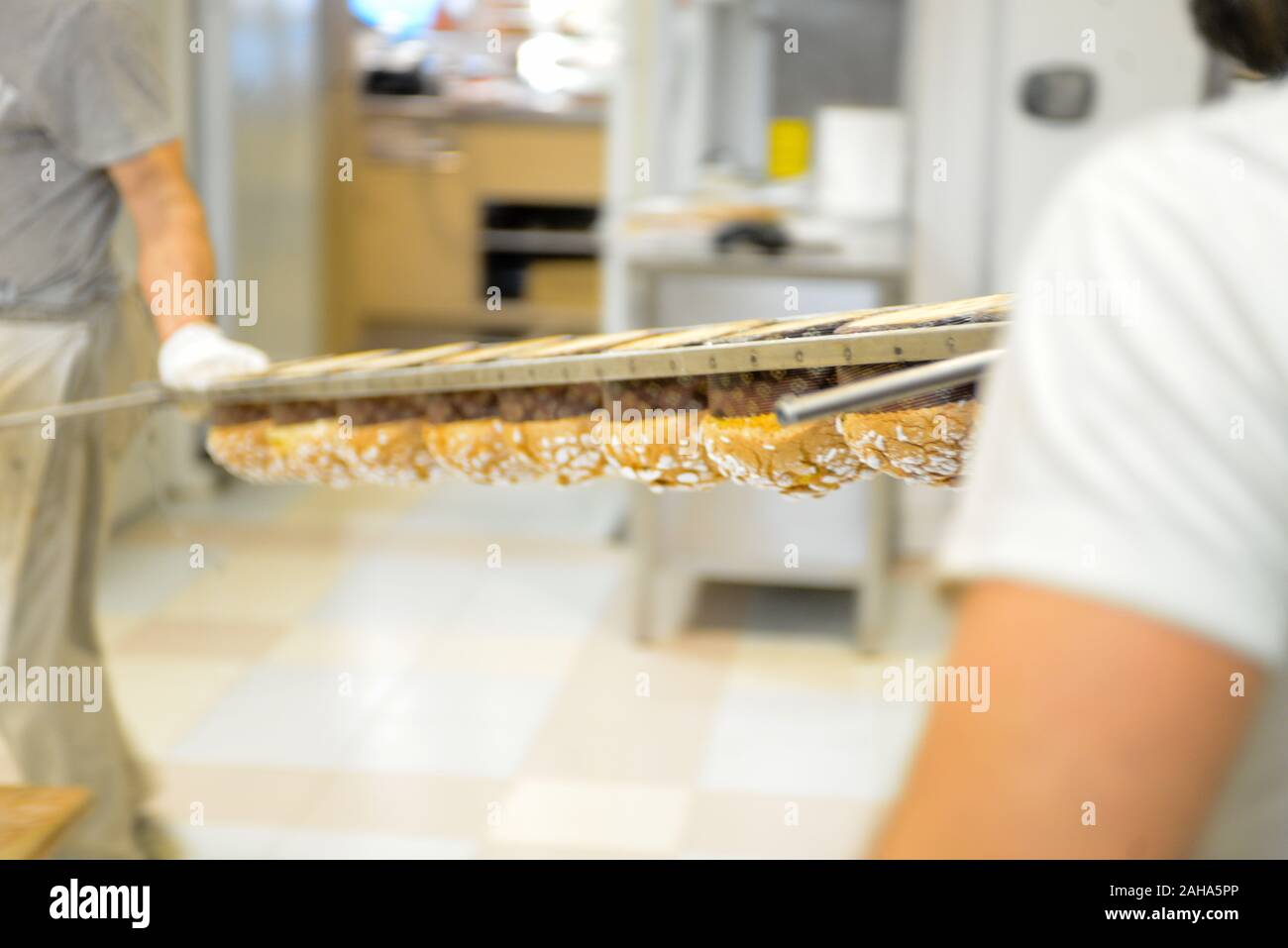 Italian pastry chef Baking Panettone sweet italian cake Stock Photo - Alamy