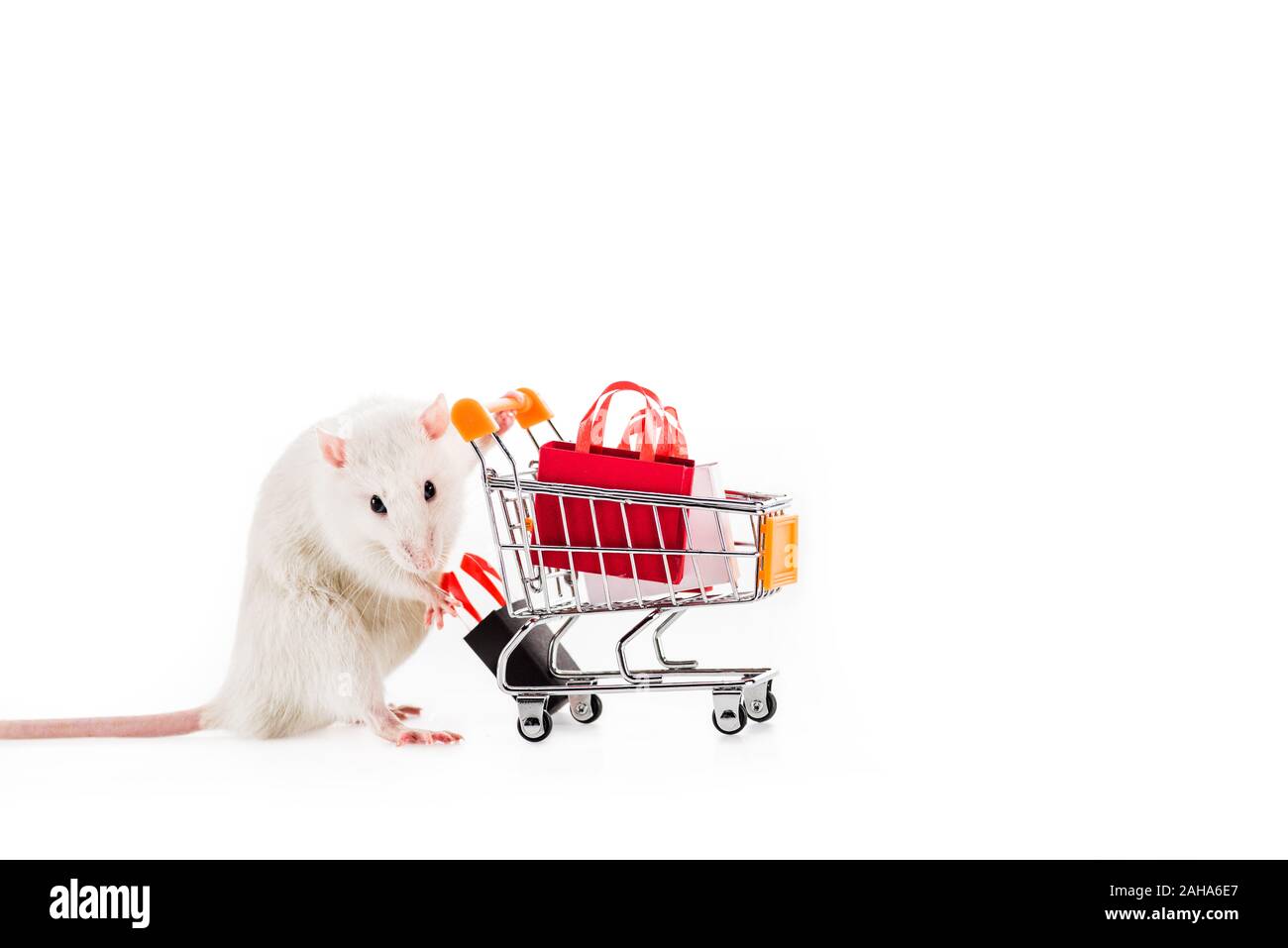 rat holding shopping cart with shopping bags on white background in New ...