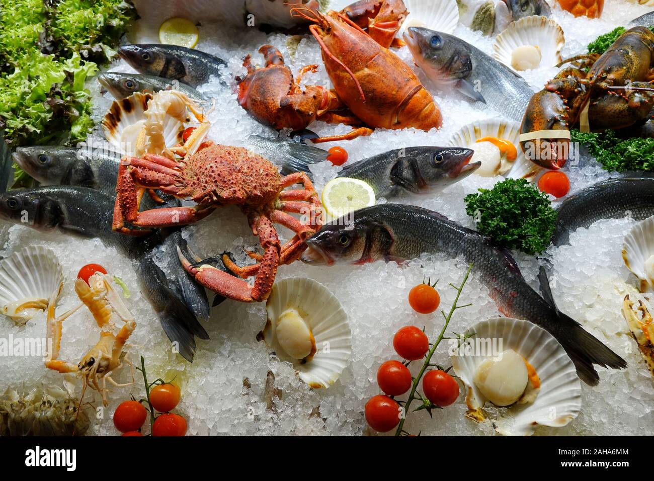 Mixed fresh seafood on ice for the open market in close up top view ...
