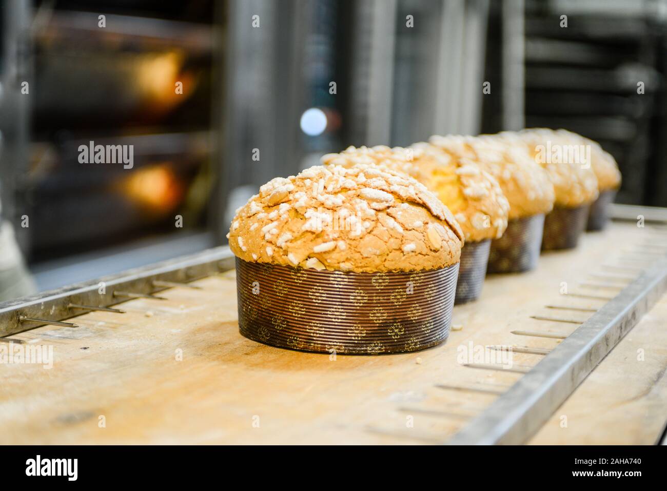 Italian pastry chef Baking Panettone sweet italian cake Stock Photo - Alamy