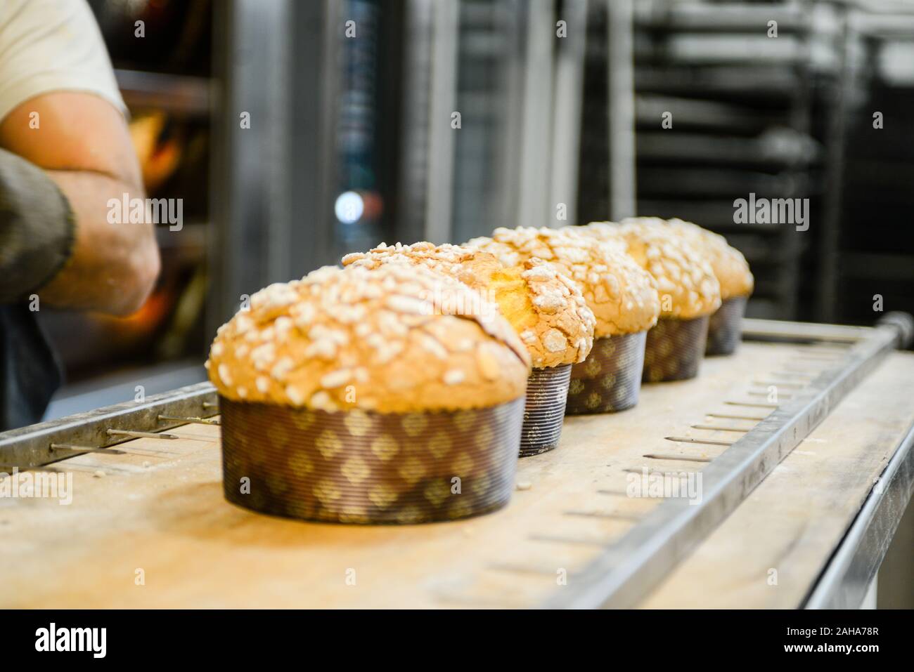 Italian pastry chef Baking Panettone sweet italian cake Stock Photo - Alamy