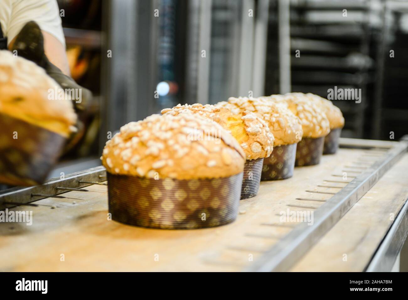 Italian pastry chef Baking Panettone sweet italian cake Stock Photo - Alamy