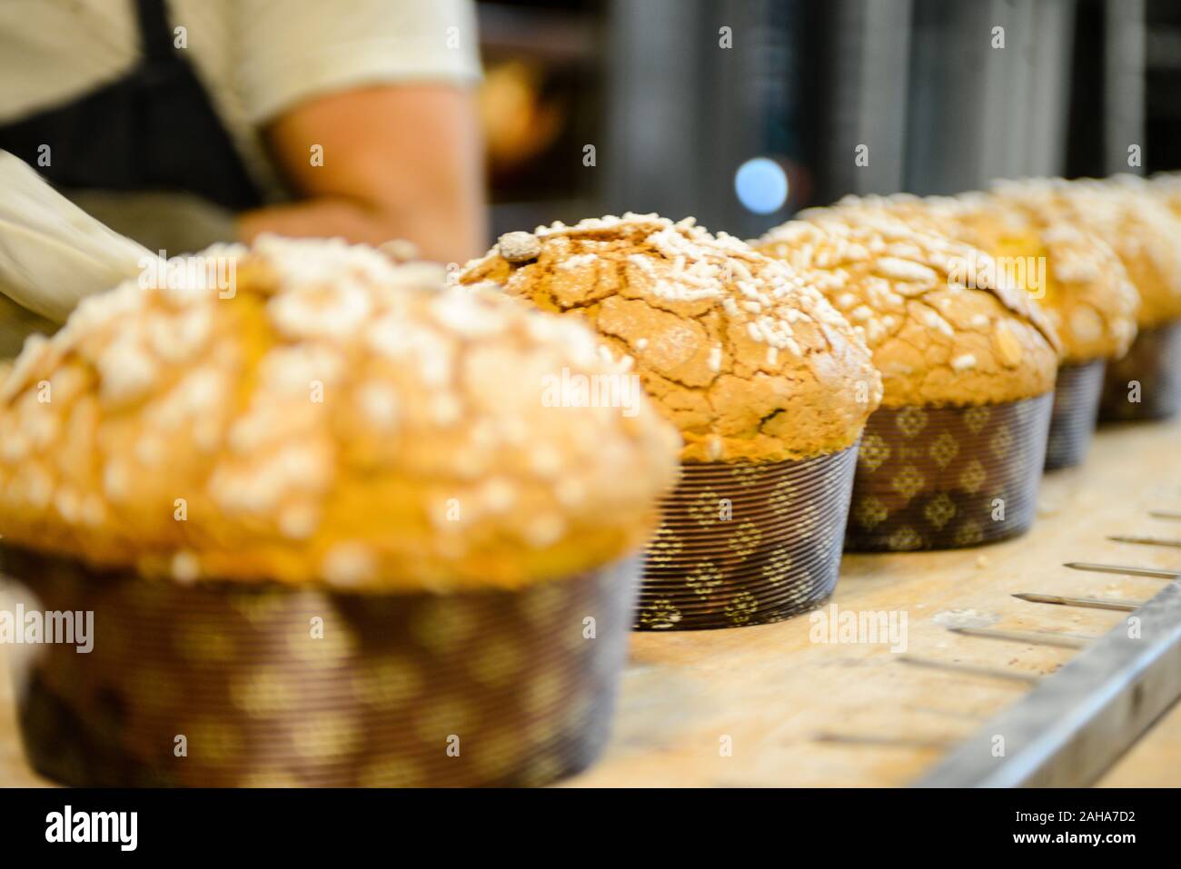 Italian pastry chef Baking Panettone sweet italian cake Stock Photo - Alamy