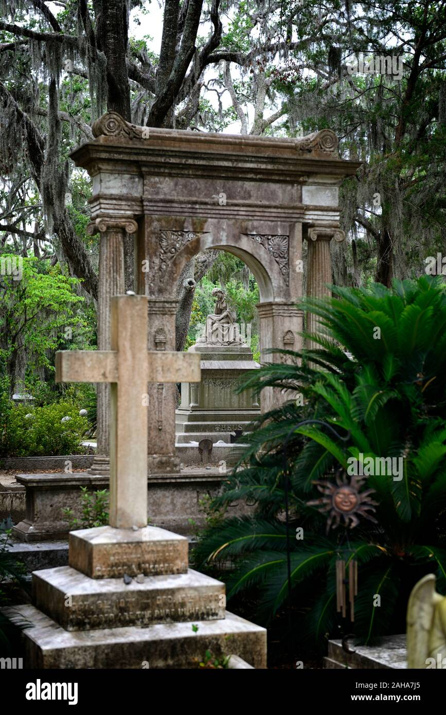 Useneoides hi-res stock photography and images - Alamy