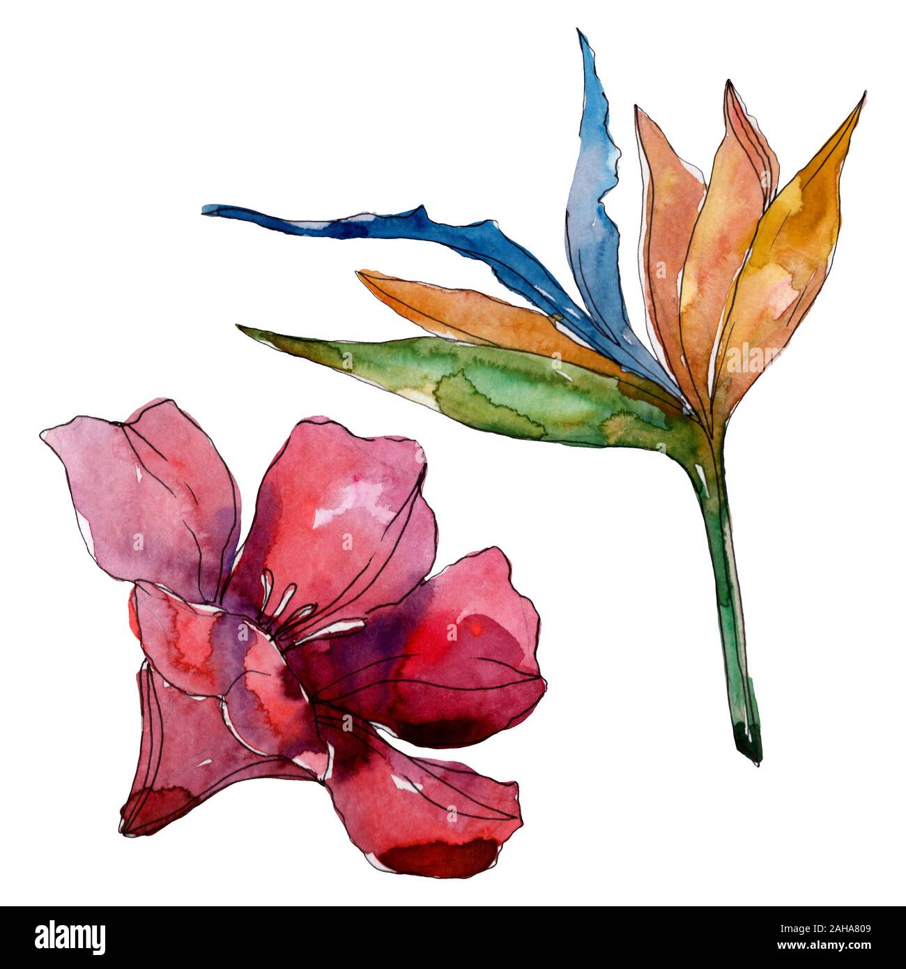 Exotic tropical hawaiian summer. Palm beach tree leaves jungle ...