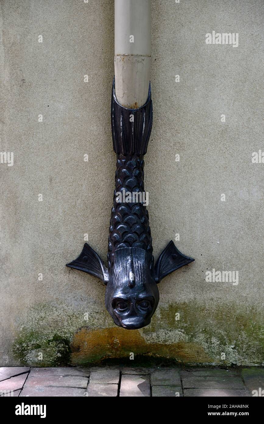Decorative fish-shaped drain,drainpipe,downpipe,house,Historic Doctor ...