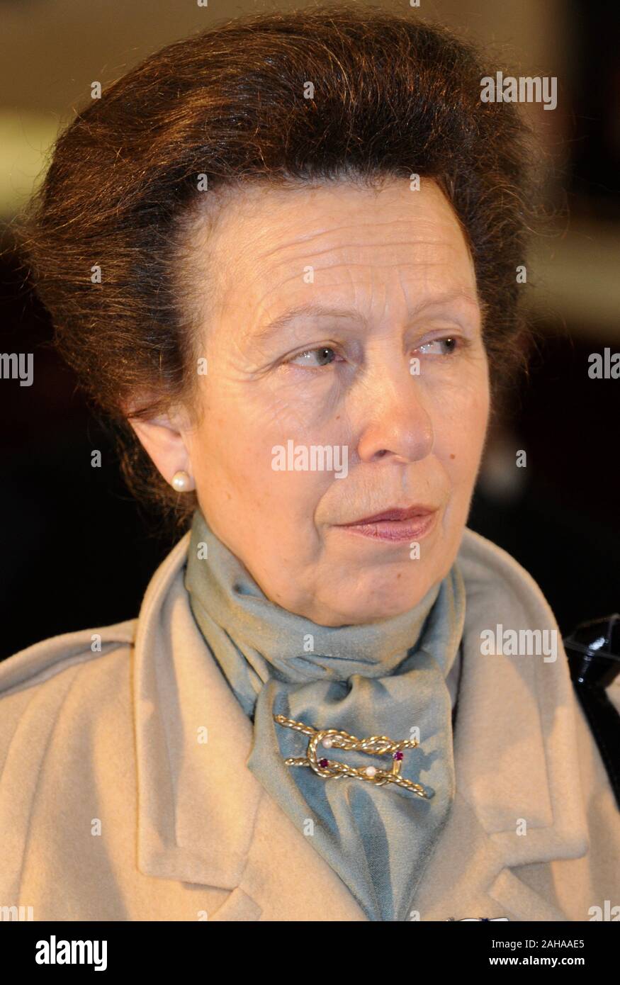 The Princess Royal. Boat Show, Excel, London. UK Stock Photo - Alamy