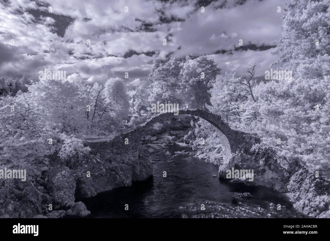 Carrbridge Scotland High Resolution Stock Photography and Images - Alamy