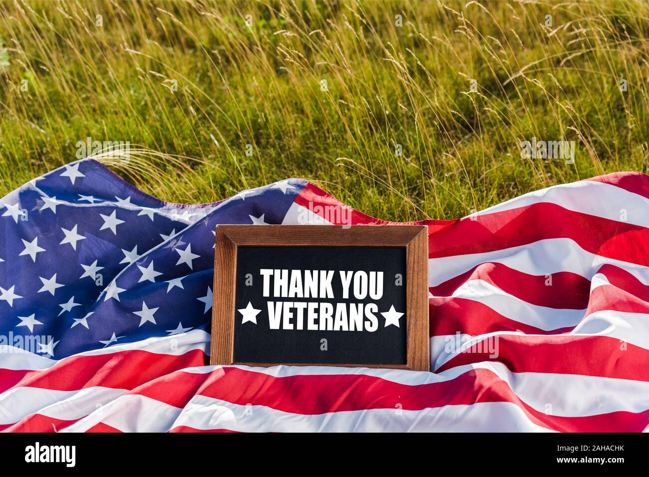 blank chalkboard with thank you veterans illustration on american flag ...