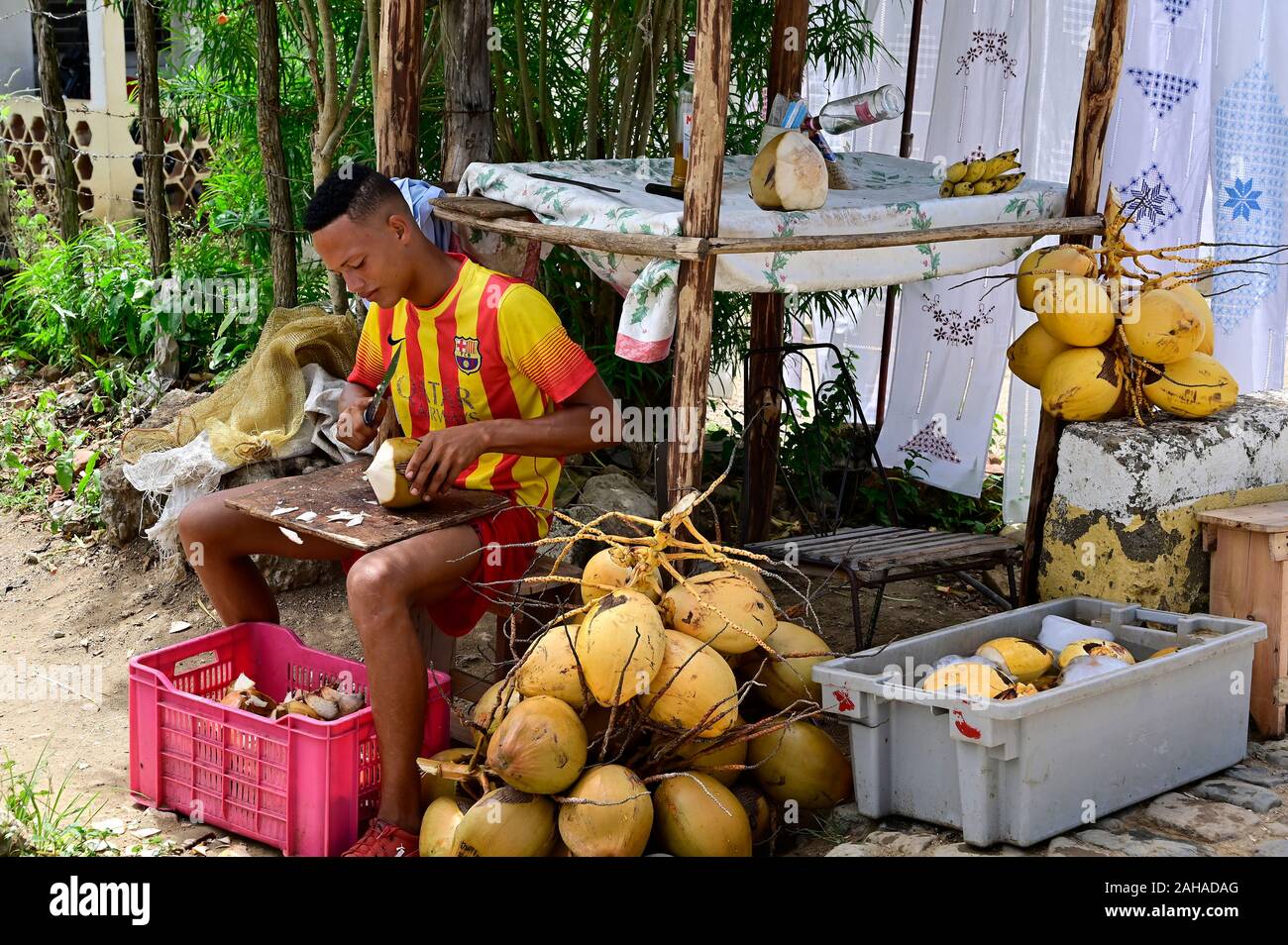 Coconut stand hi-res stock photography and images - Alamy