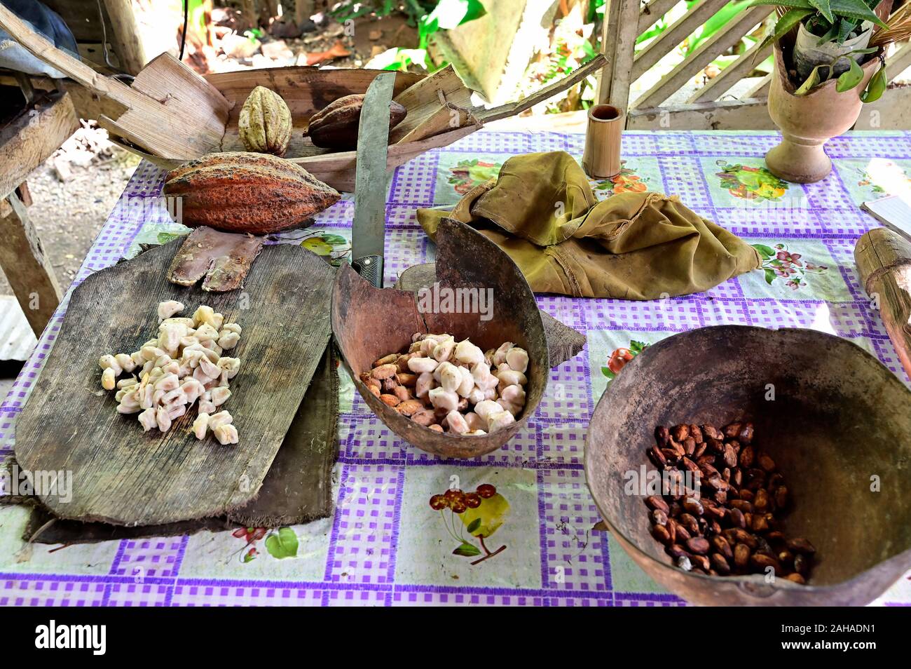 Cocoa plantation landscape hi-res stock photography and images - Alamy
