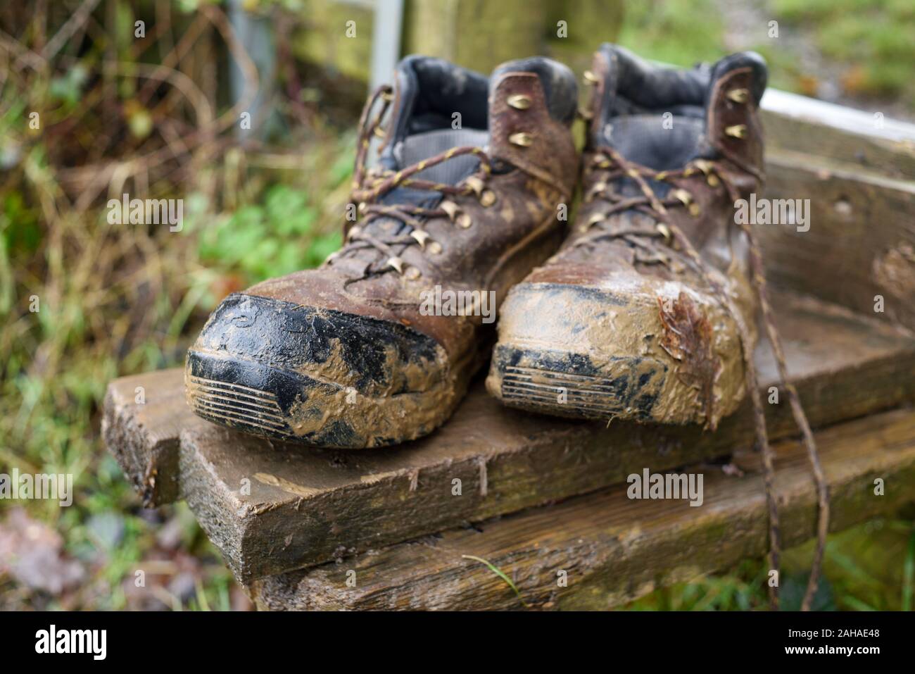 Male Leg walking in Muddy field Stuck In Mud Stock Photo - Alamy