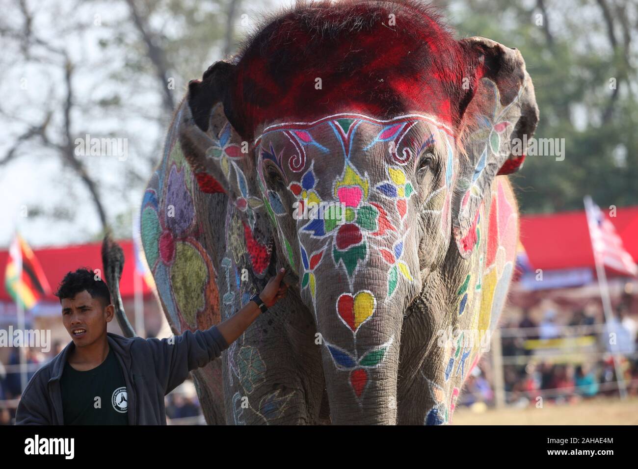 Nepal elephant competition hi-res stock photography and images - Alamy