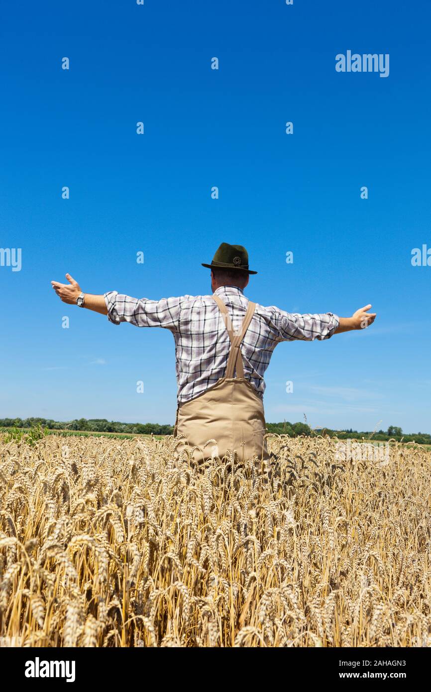 Getreideähre hi-res stock photography and images - Alamy