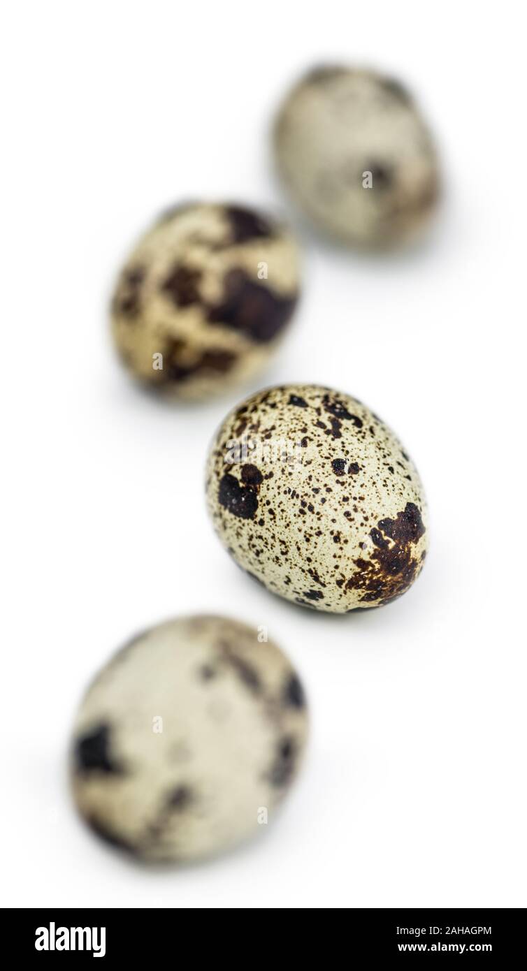 Quail Eggs as detailed close-up shot isolated on white background ...