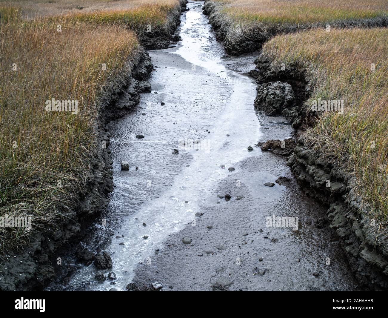 A tiny flow of water meanders its way along a dried of stream bed at ...