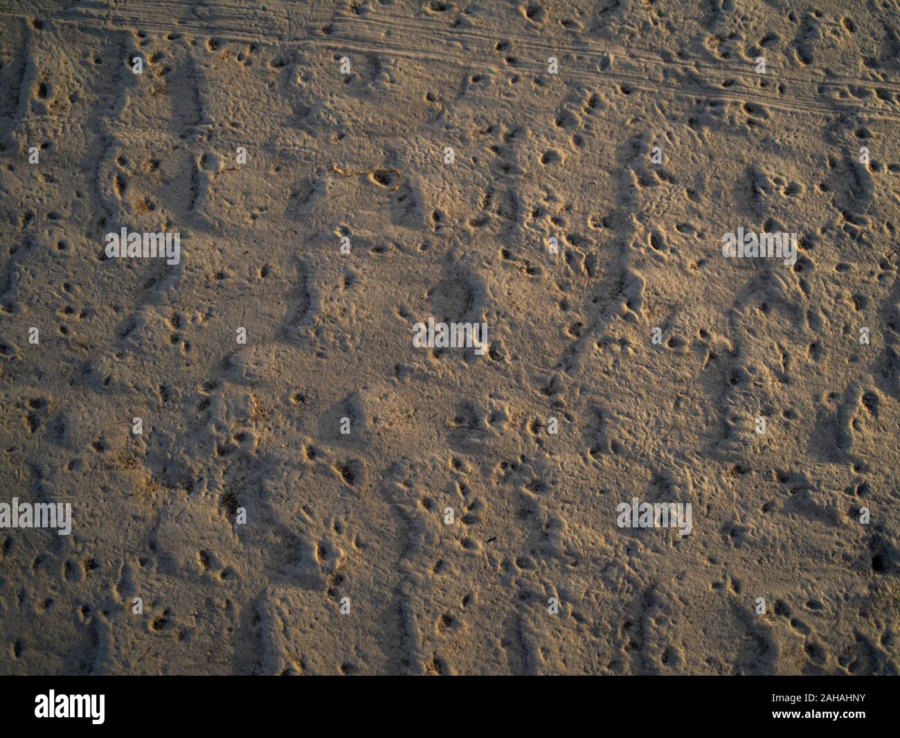 Simple background or texture of sand with ripples and holes Stock Photo ...