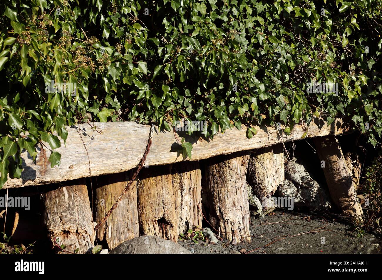 Ivy on rotten wall hi-res stock photography and images - Alamy
