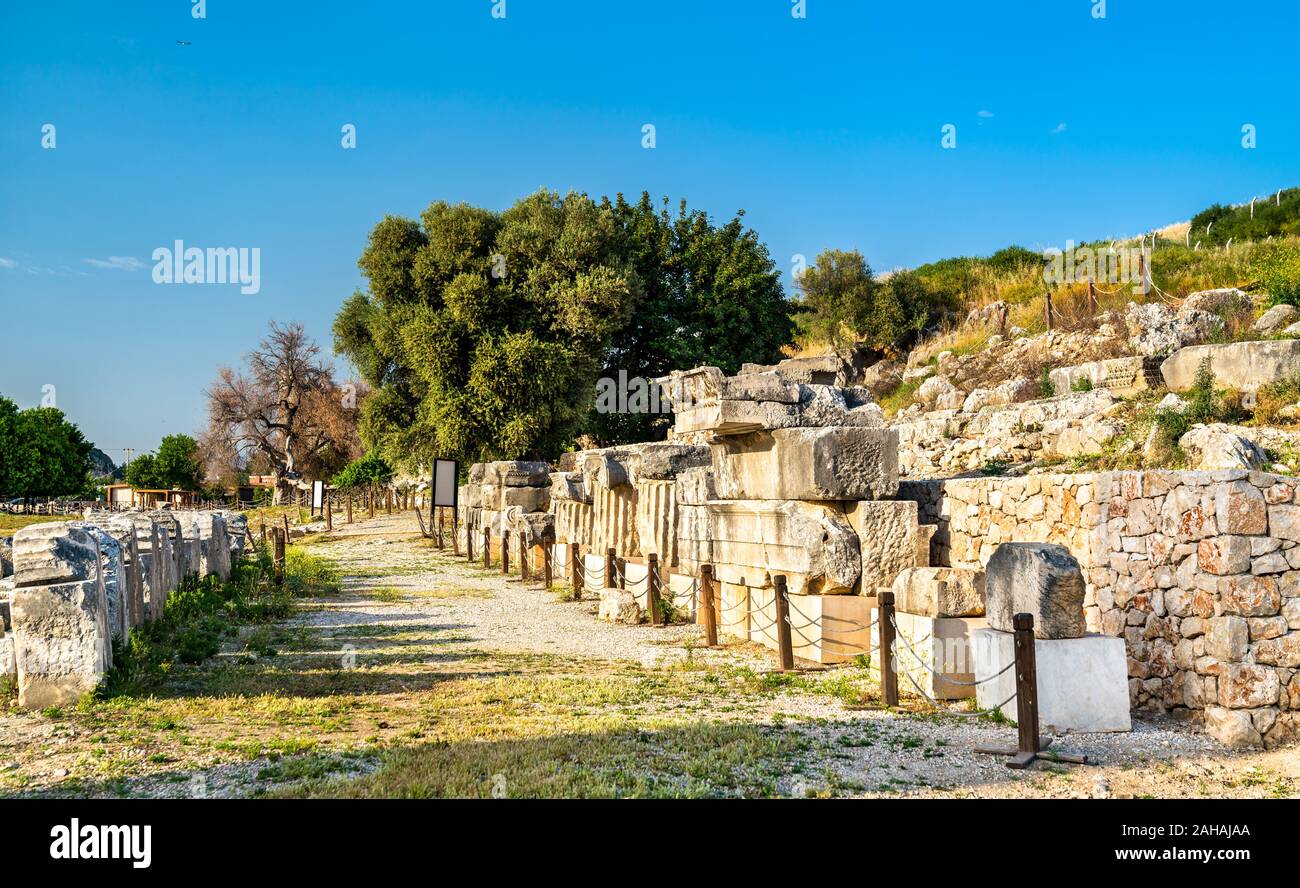 Ruins of the Letoon in Turkey Stock Photo - Alamy