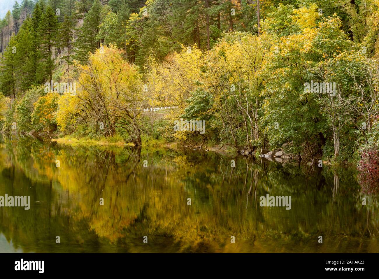 Benson Lake is an Oregon State Park a short way from Multnomah Falls ...