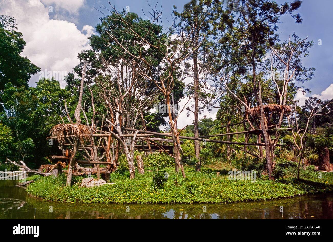 Monkey Island, Singapore zoo, enlightened design for a primate ...