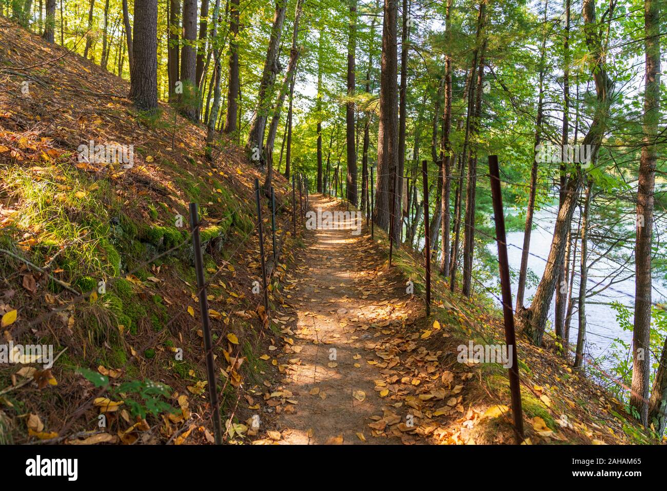Henry David Thoreau's Walden Pond in Concord, Massachusetts Stock Photo ...