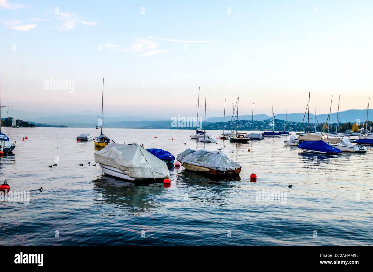 View on evening Zurichsee with boats, yachts at sunset. Zurich ...