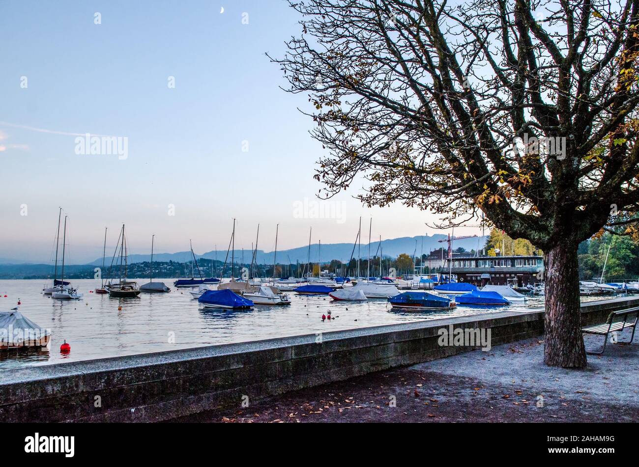 View on evening Zurichsee with boats, yachts at sunset. Zurich ...