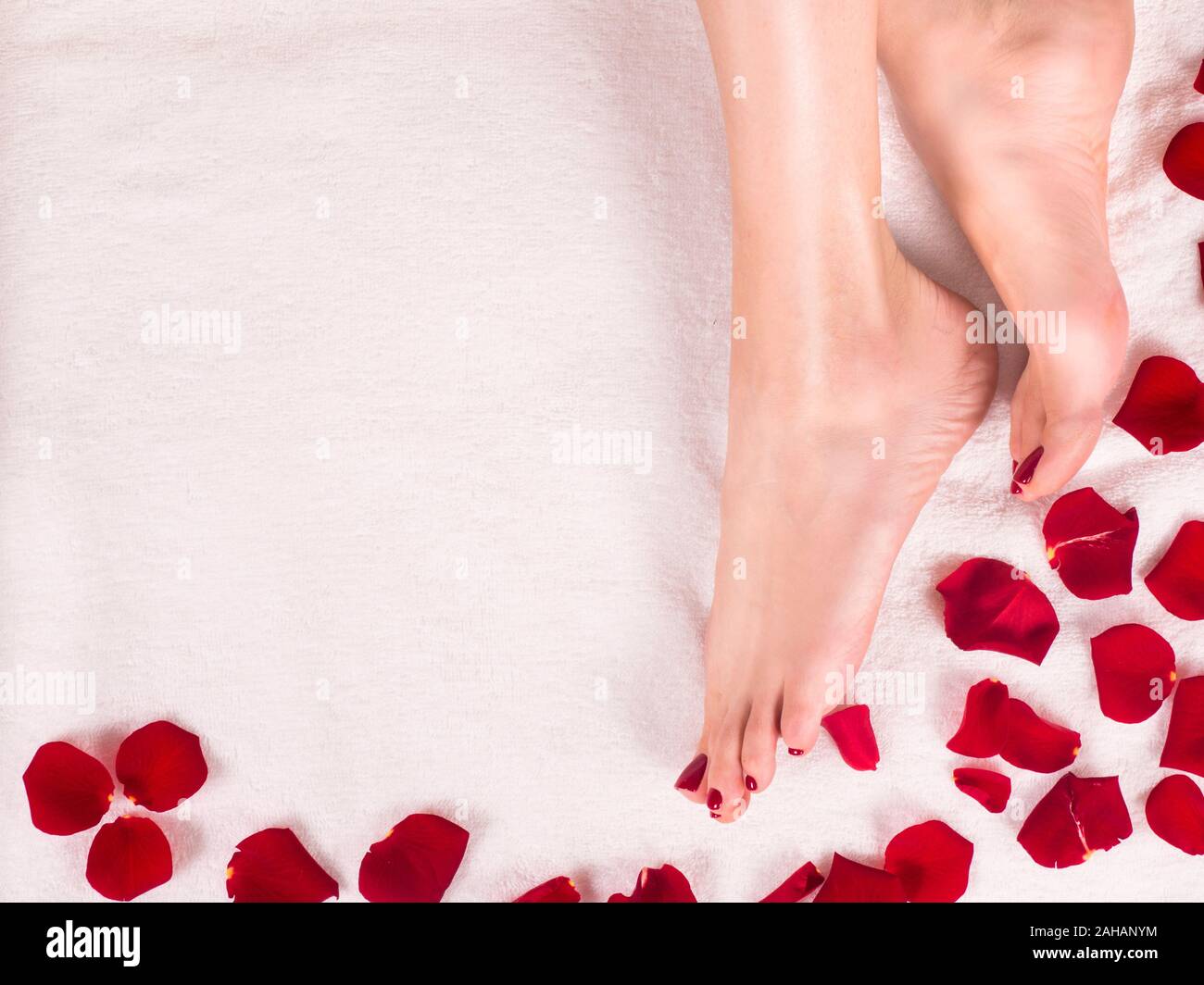 Beautiful female feet and rose petals. Spa and skin care concept Stock ...