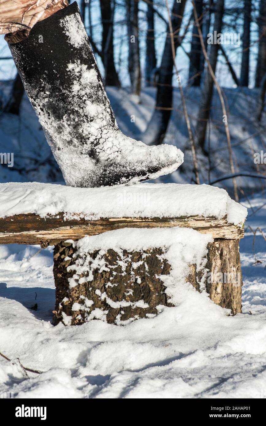 Felt boot in snow on stump Stock Photo - Alamy
