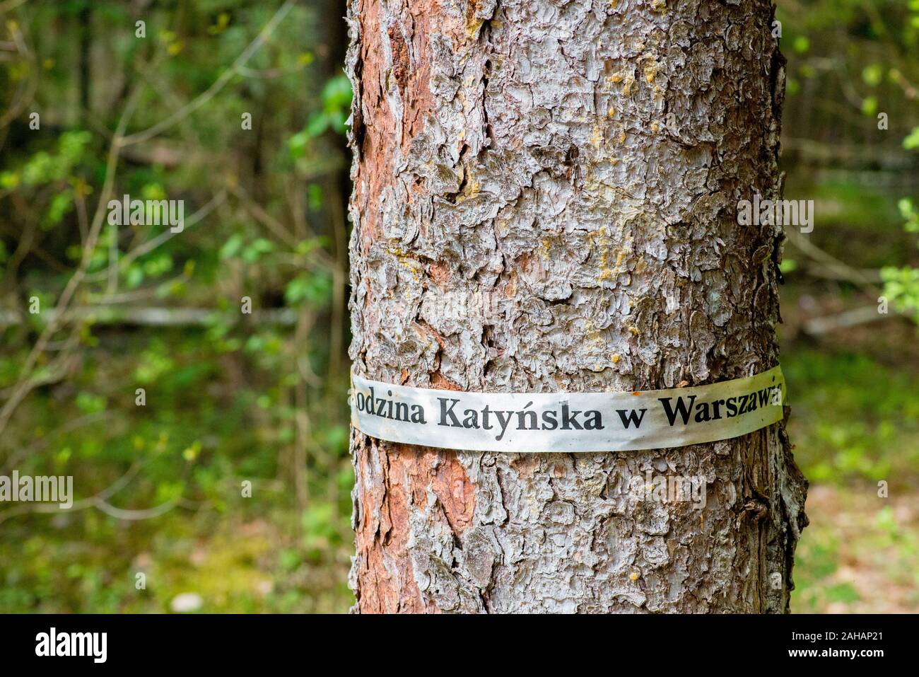 Katyn forest massacre hi-res stock photography and images - Alamy