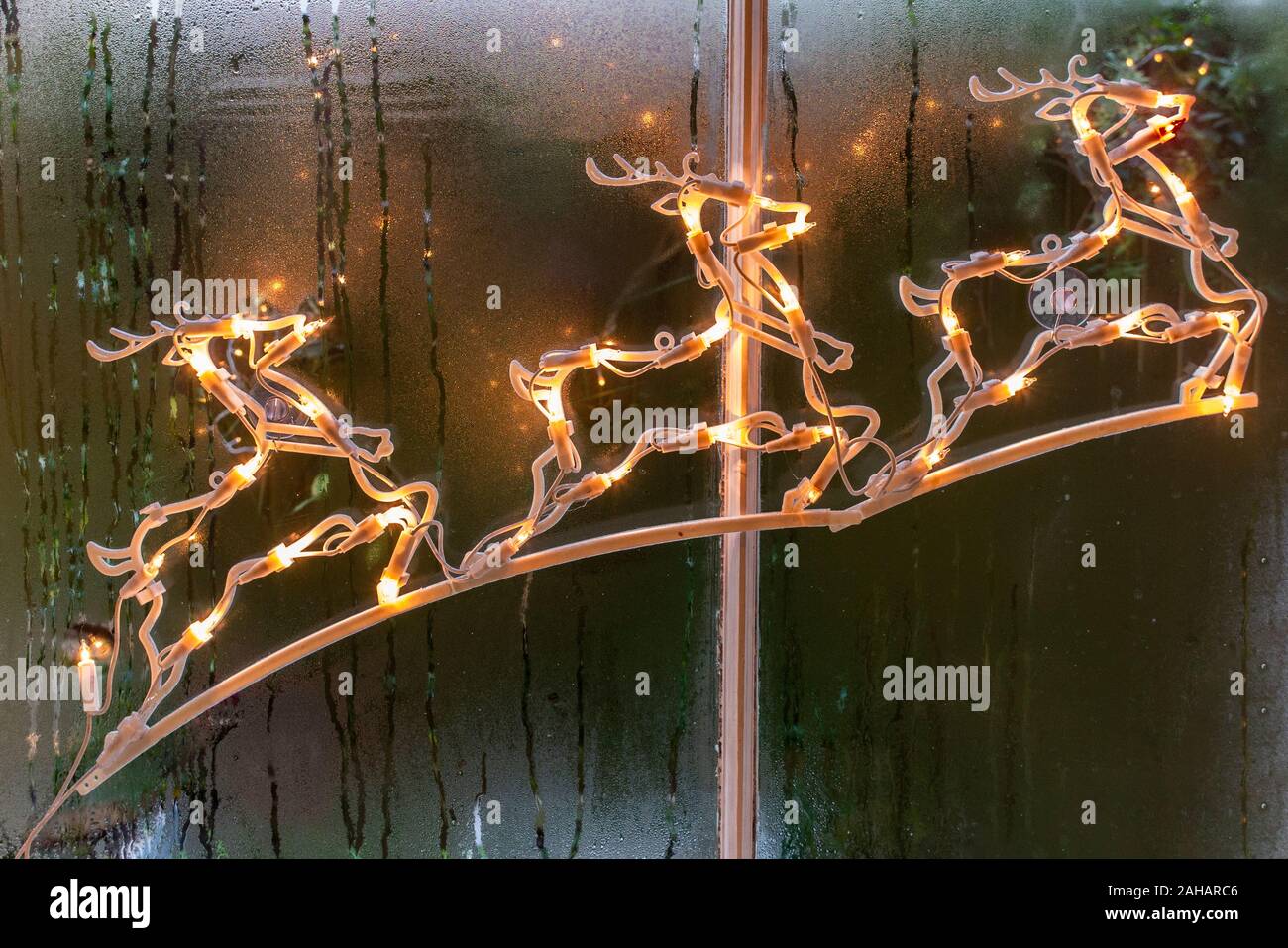 Reindeer decorations with condensation running down a window pane Stock ...