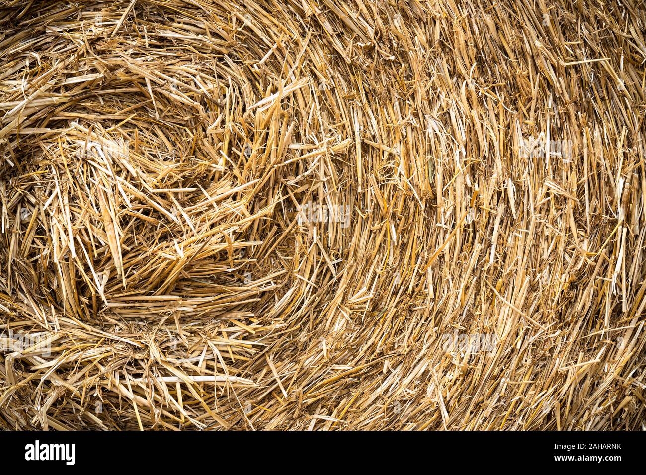 Rolled hay pattern/ dried hay texture Stock Photo - Alamy
