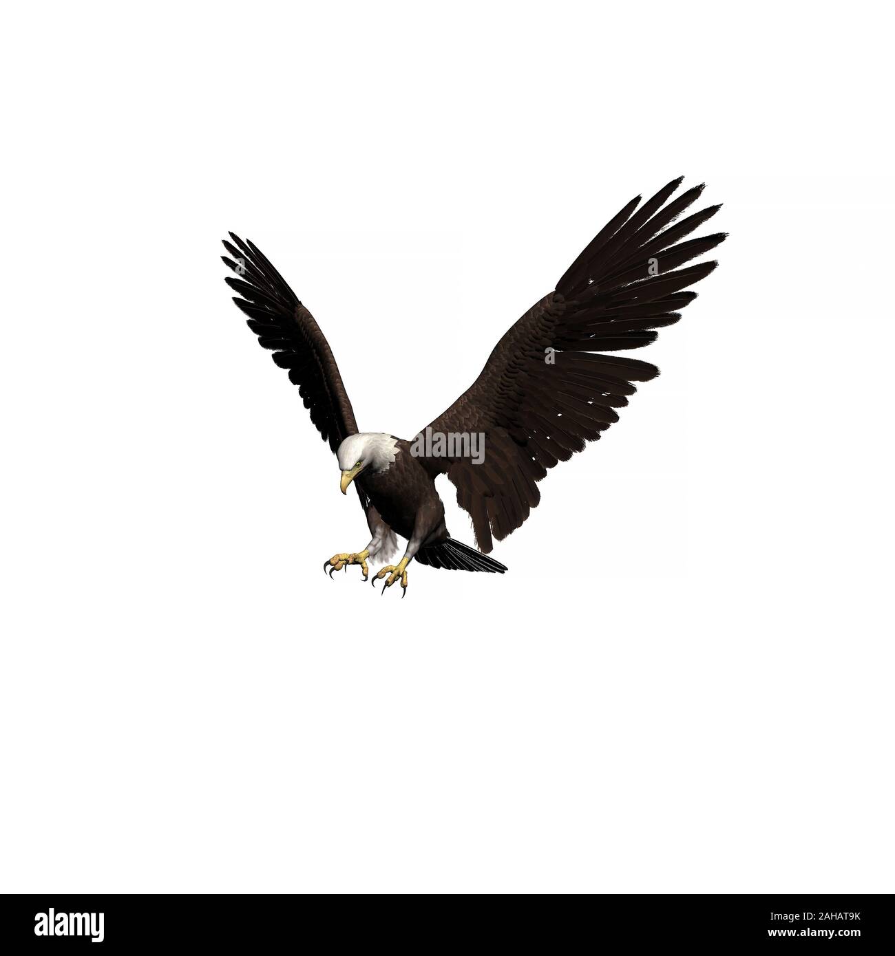 Bald Eagle Illustration isolated over white in attack pose Stock Photo ...
