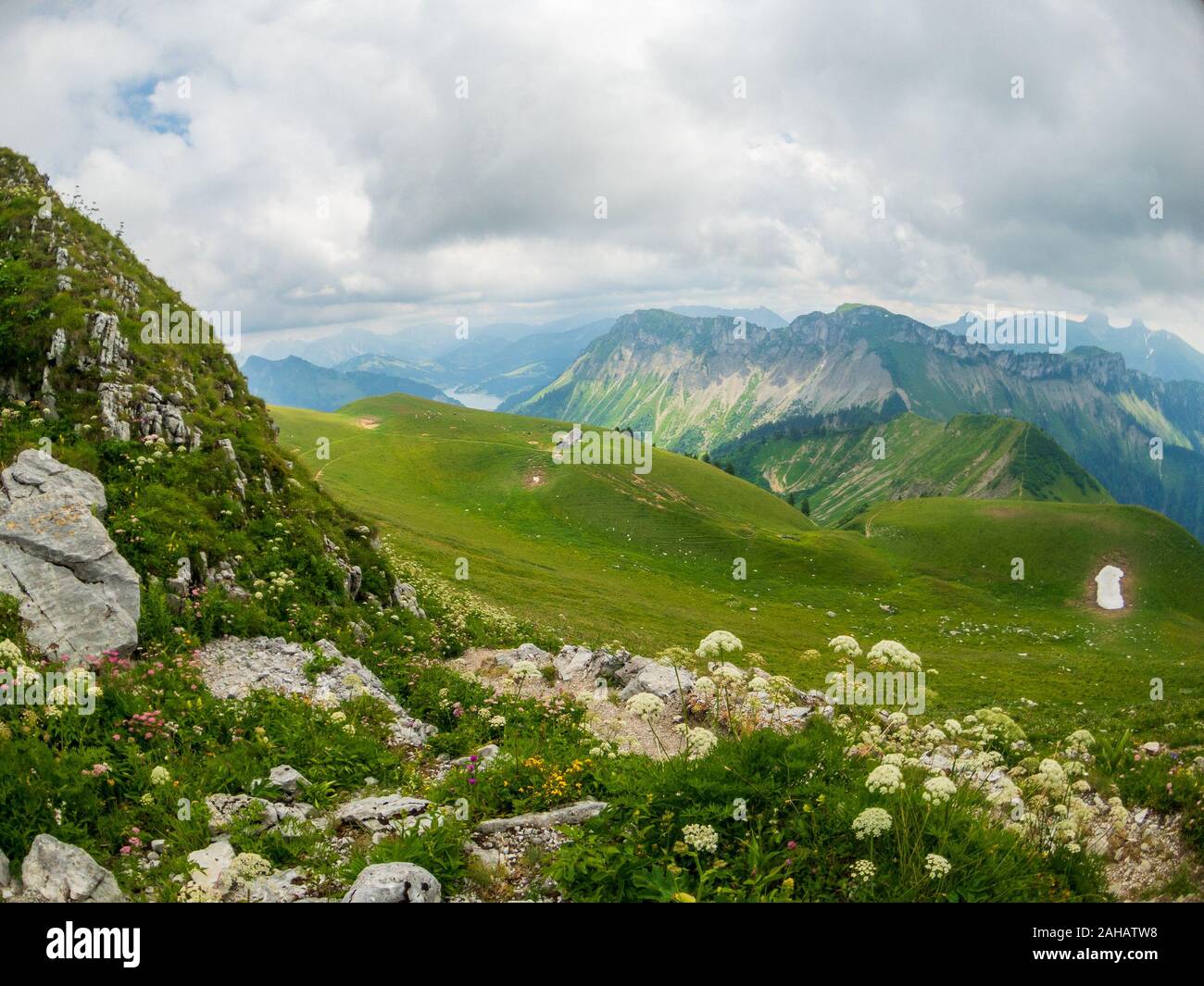 Summer landscape of Switzerland nature at Rochers-de-Naye Stock Photo ...