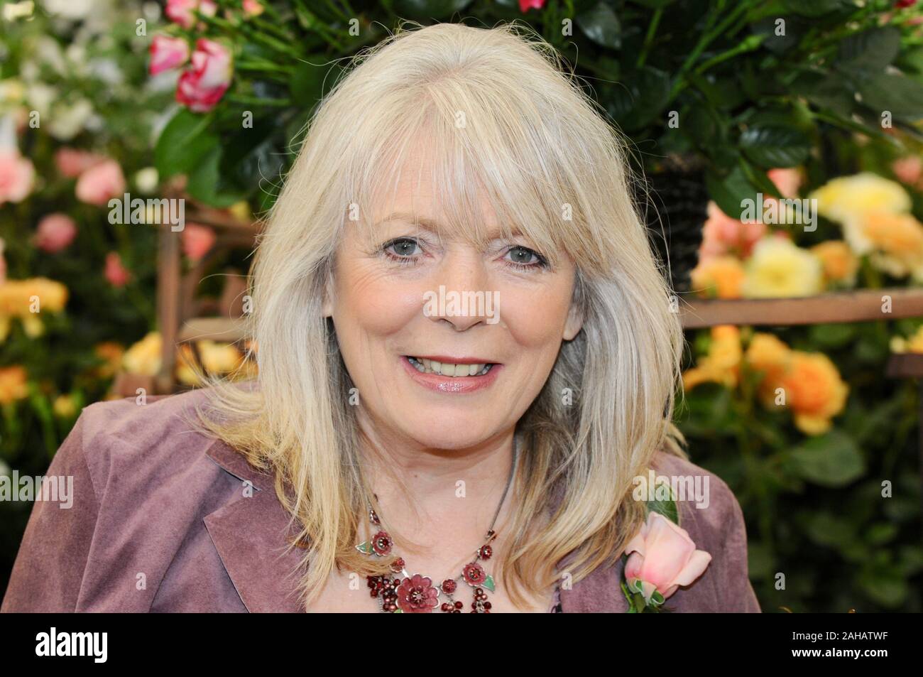 Lisa Wey's Instagram, Twitter & Facebook on IDCrawl