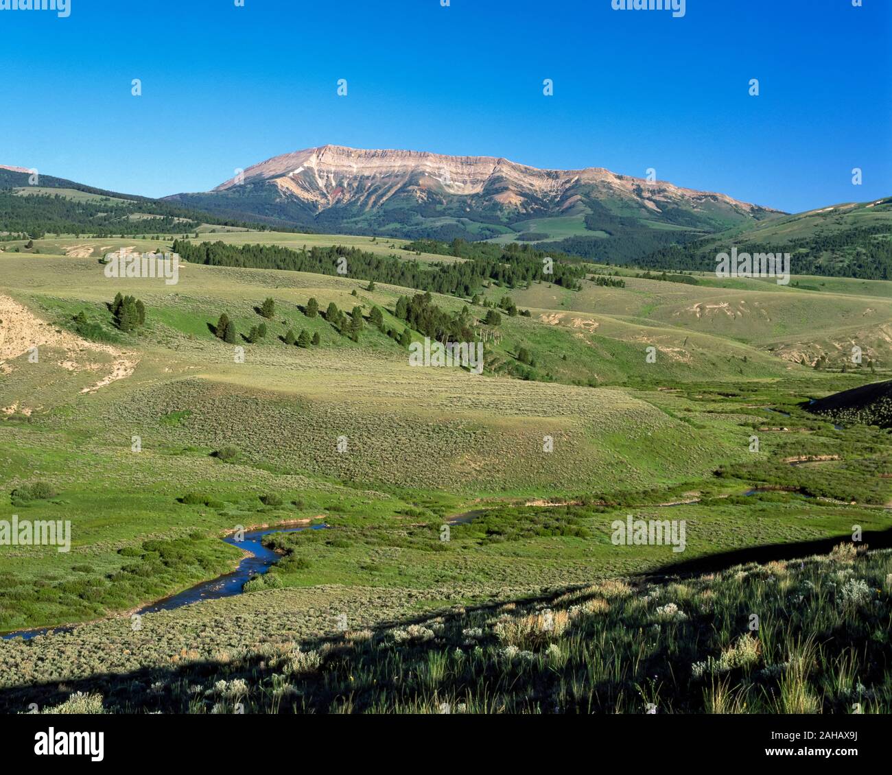 hogback mountain in the snowcrest range above the headwaters of the ...