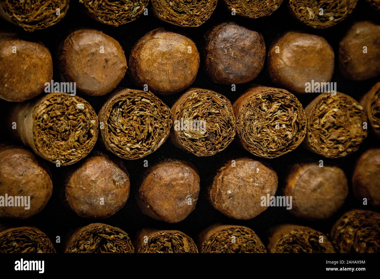 Cigars / Cuban Cigars: Traditional hand rolled tobacco stored in ...