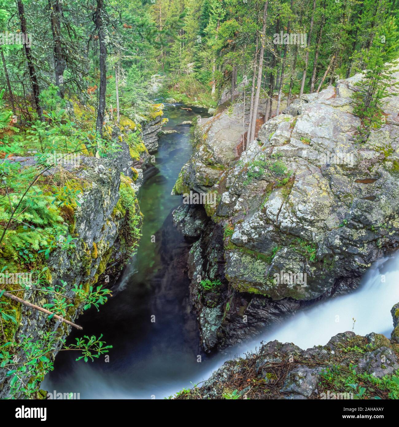waterfall plunging into a gorge on the upper jocko river near arlee ...