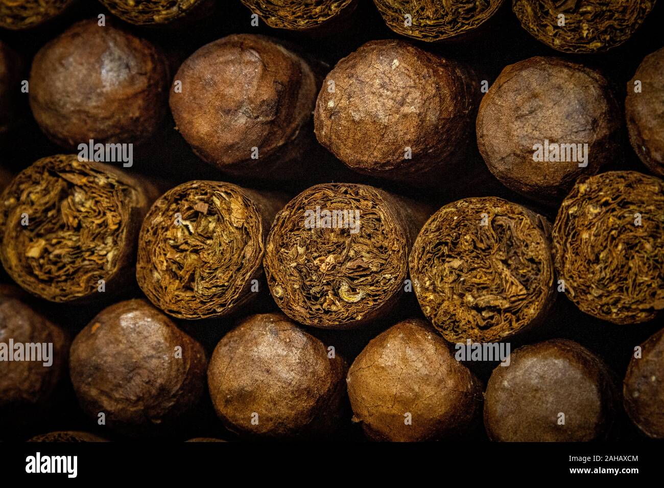 Cigars / Cuban Cigars: Traditional hand rolled tobacco stored in ...