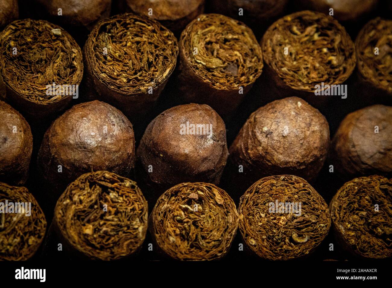 Cigars / Cuban Cigars: Traditional hand rolled tobacco stored in ...