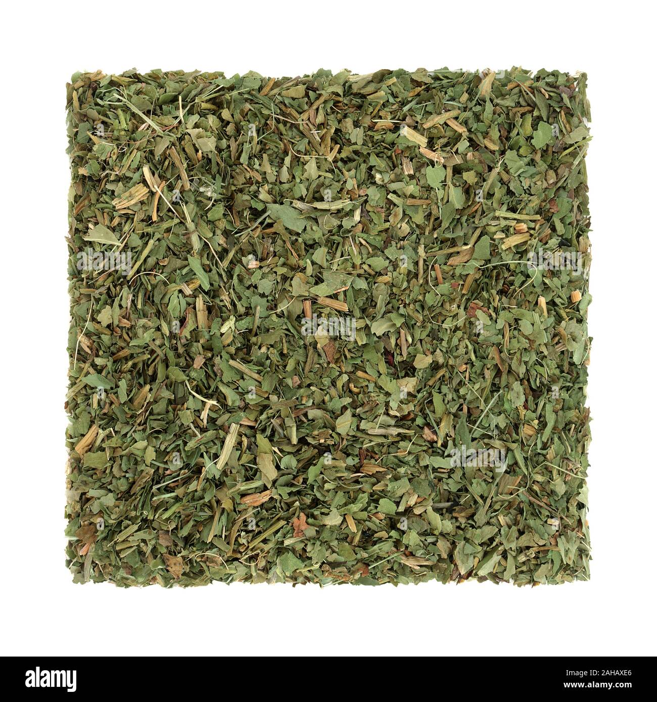 Bogbean herb leaf used in herbal medicine to treat rheumatism ...