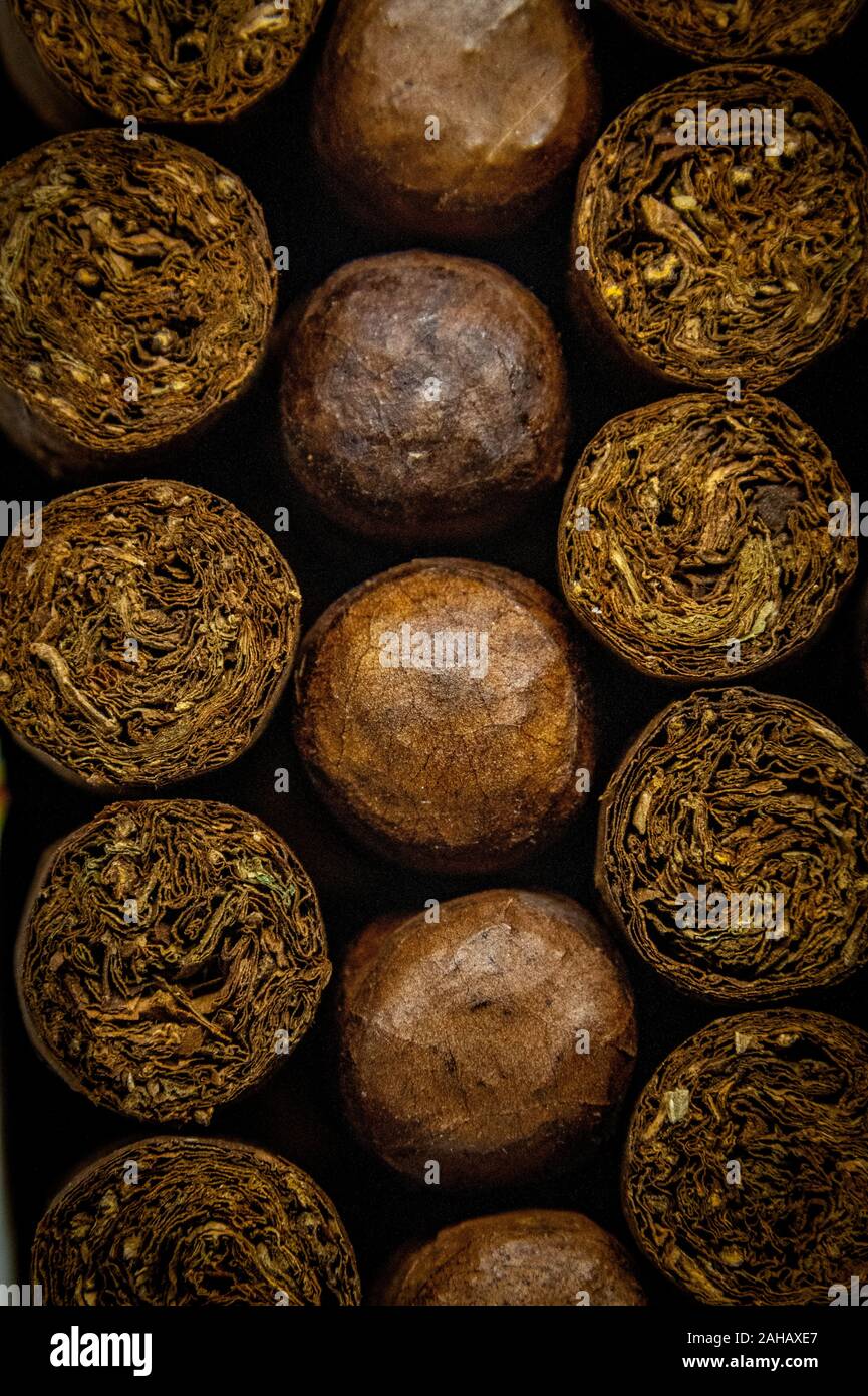 Cigars / Cuban Cigars: Traditional hand rolled tobacco stored in ...