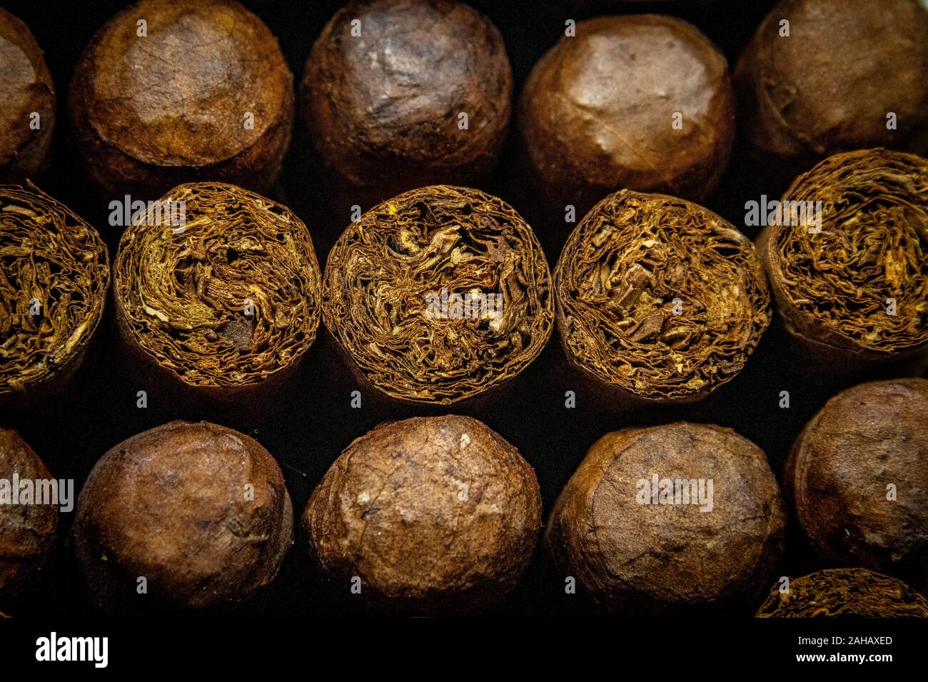 Cigars / Cuban Cigars: Traditional hand rolled tobacco stored in ...