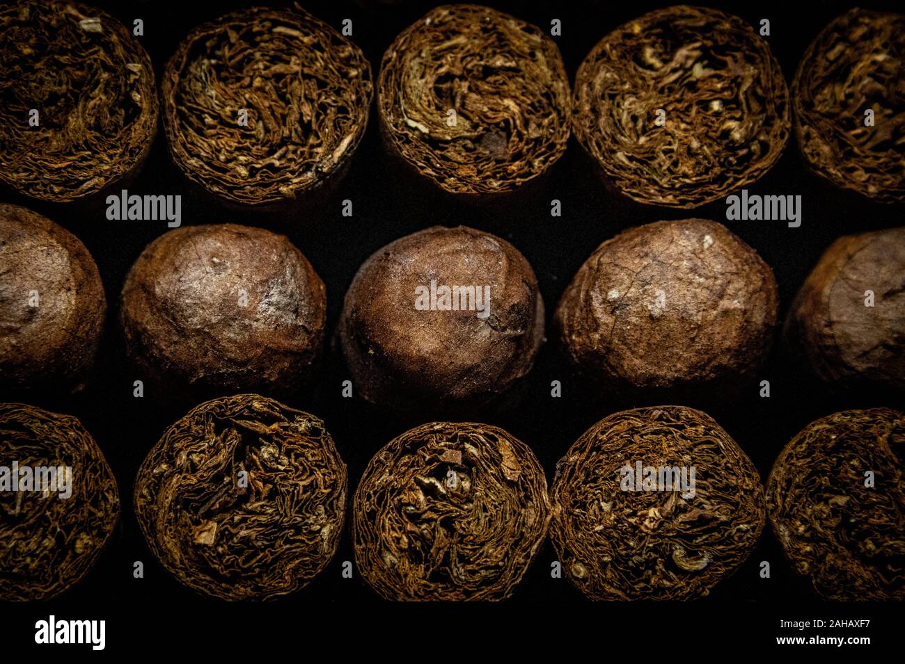 Cigars / Cuban Cigars: Traditional hand rolled tobacco stored in ...