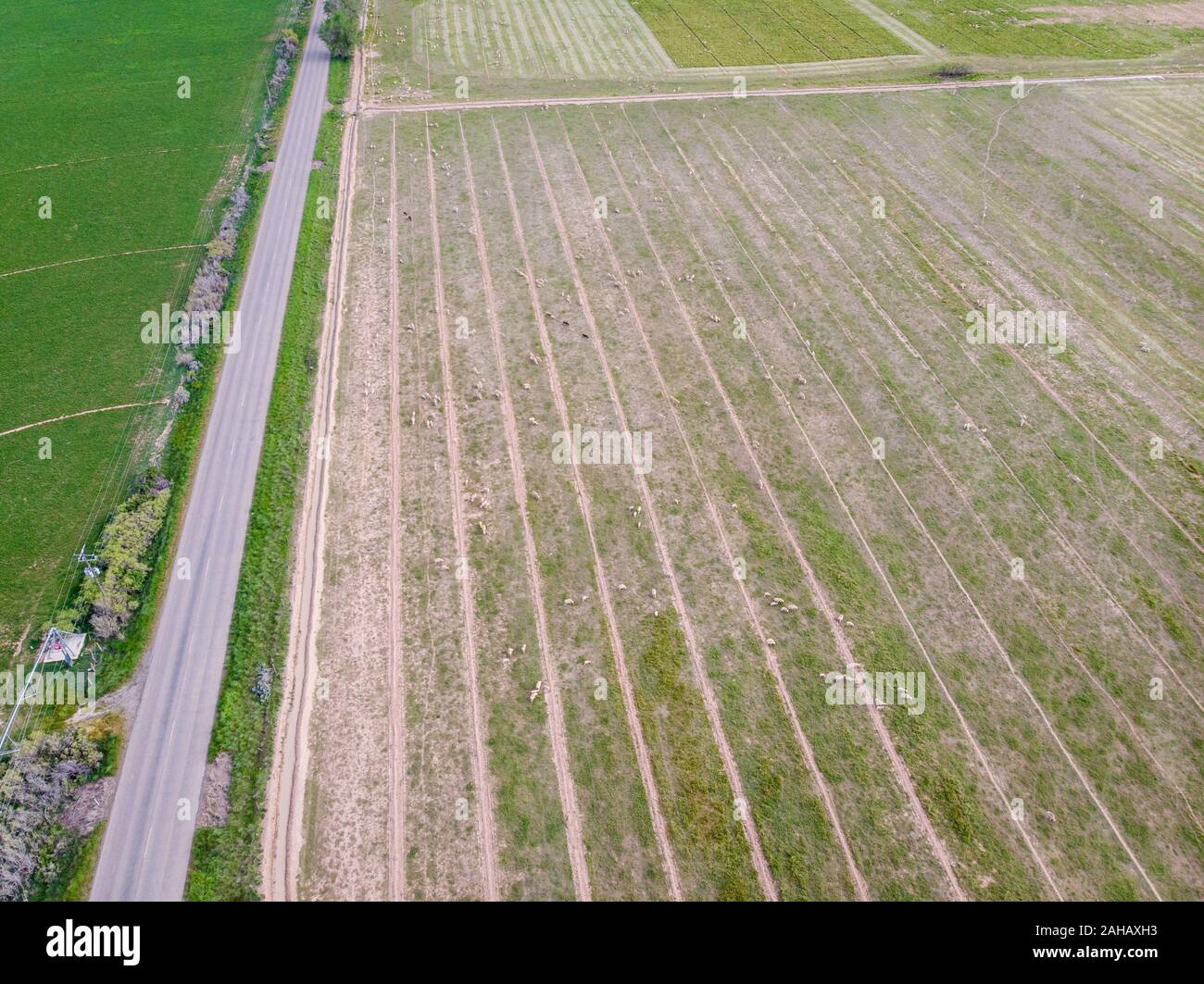 Aerial view of dry sheep farm in Cedar City, Utah, USA Stock Photo - Alamy