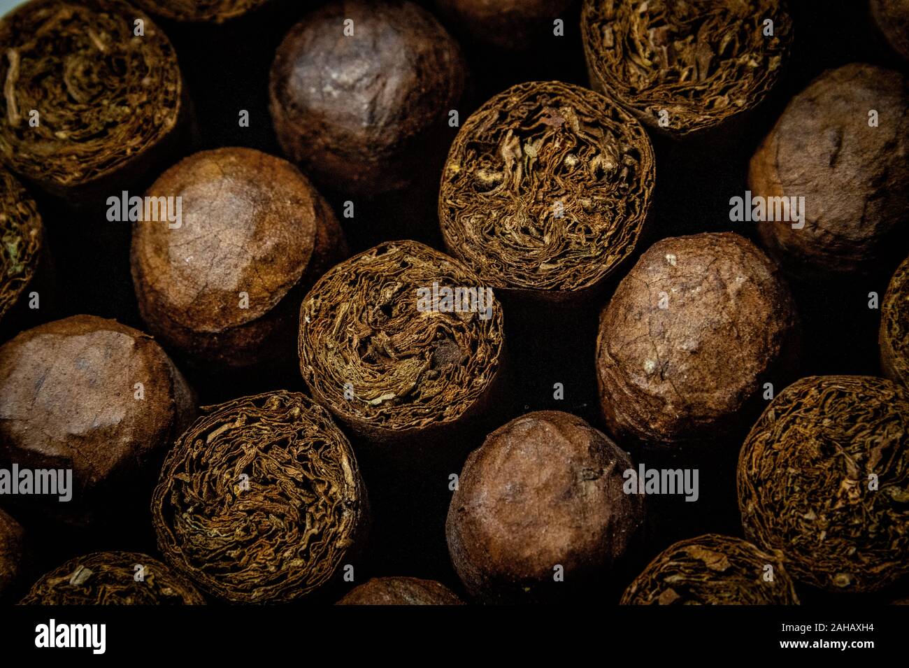 Cigars / Cuban Cigars: Traditional hand rolled tobacco stored in ...