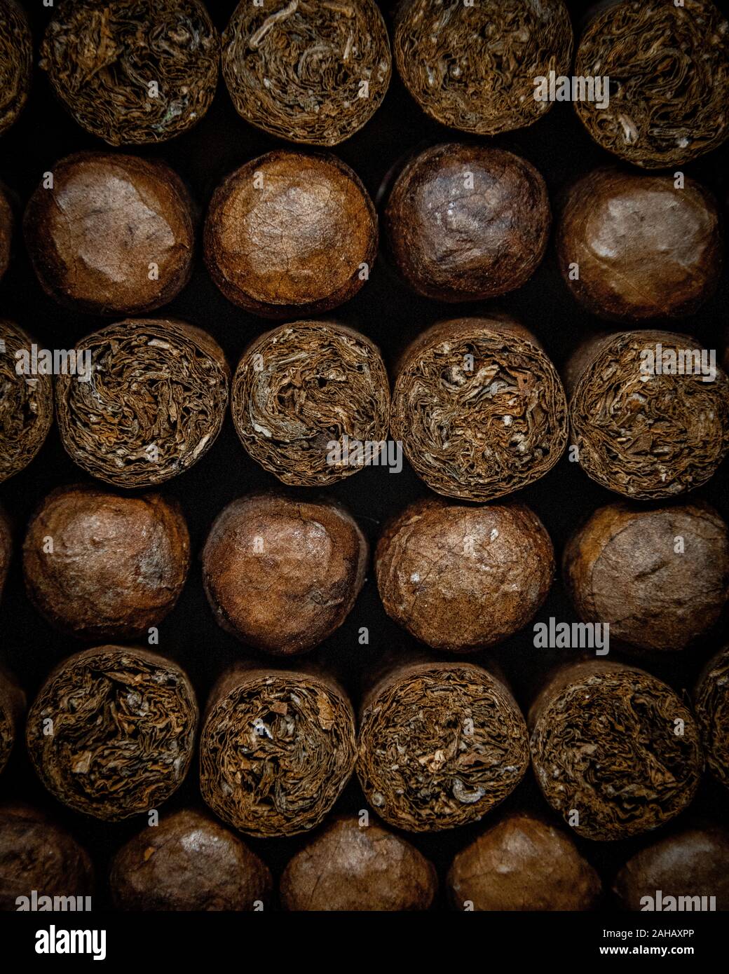 Cigars / Cuban Cigars: Traditional hand rolled tobacco stored in ...